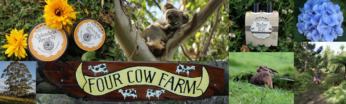 Story – Four Cow Farm Hong Kong